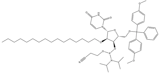 DMTr-2'-O-C16-rU-3'-CE-Phosphoramidite CAS 2382942-83-6