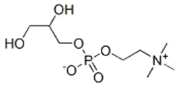 L-A-GLYCERYLPHOSPHORYLCHOLINE(GPC) CAS 4217-84-9