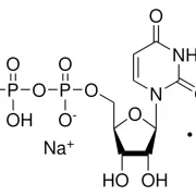 UDP-Na2//Uridine 5'-diphosphate disodium salt CAS 27821-45-0